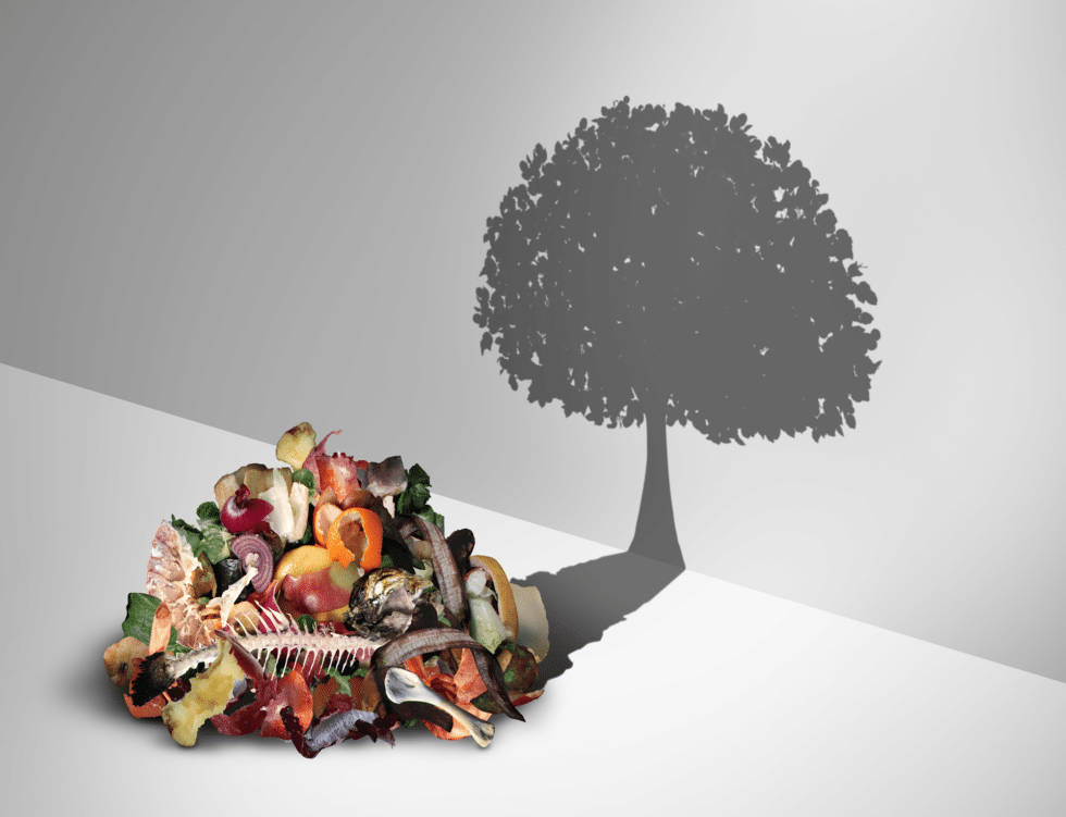 Updates to New York Food Waste Recycling Law: What Businesses Should Know