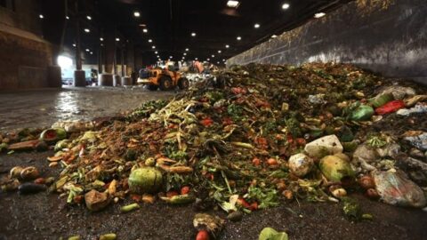 How Prisons Can Lead the Way in Combatting Food Waste